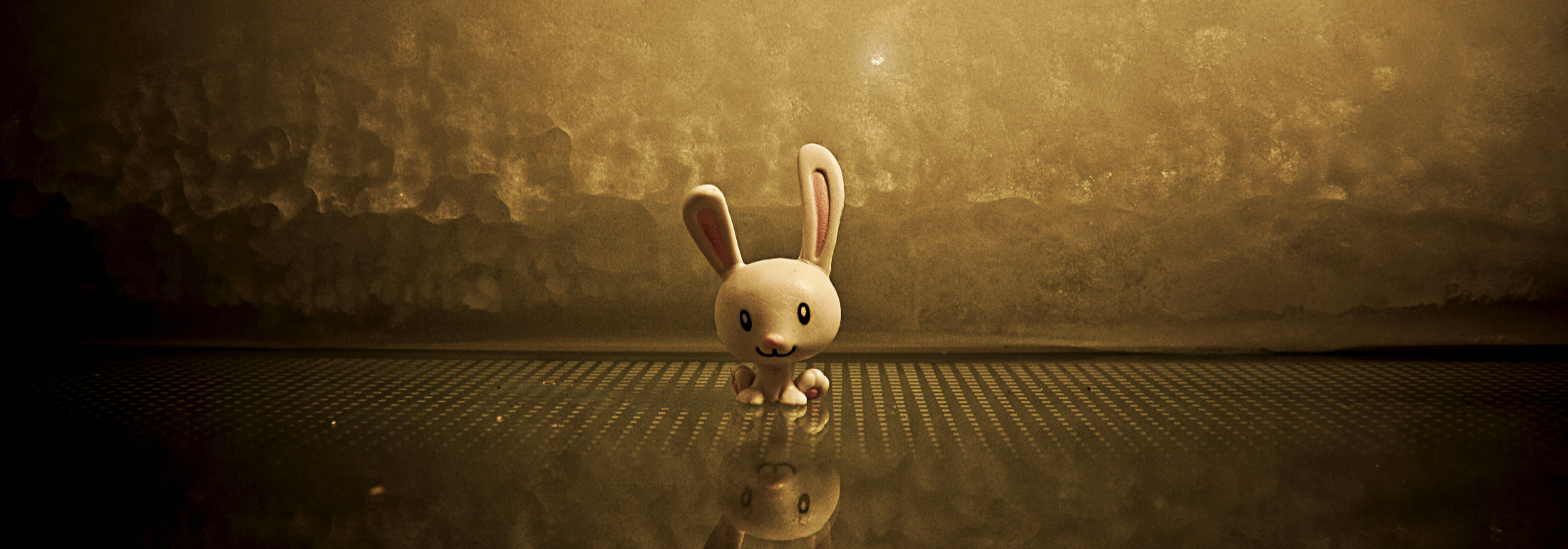 The Merits & Misfortunes of Rabbit Holes – Mark Mullaly